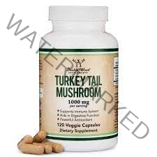 Turkey Tail Extract – 120 Capsules - FXE Chem Shop